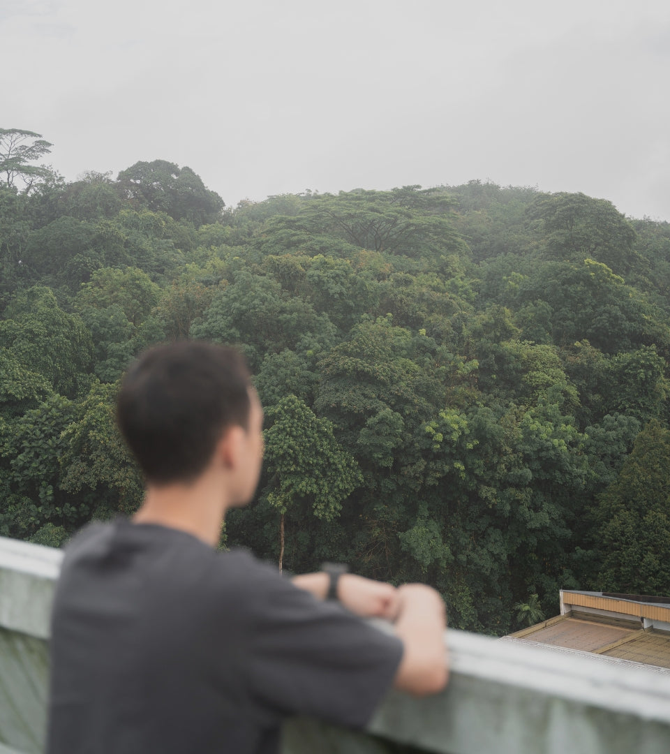 Coexist Coffee Co. Hillview Outlet - Historic Café & Contemporary ...